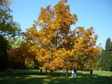 Best attractions in Szarvas | cityseeker