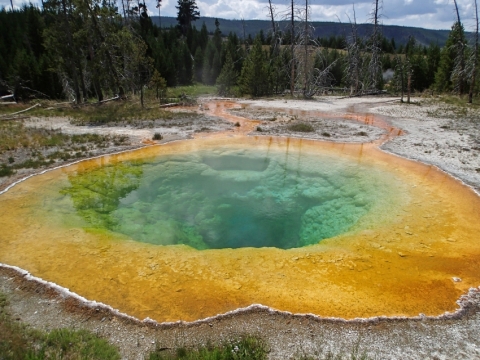 5 Unusual Attractions to Explore in Yellowstone National Park | cityseeker