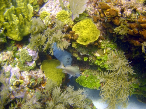 Alabama Jack's, Key Largo, eventseeker