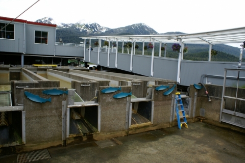 Sandbar & Grill, Juneau, eventseeker