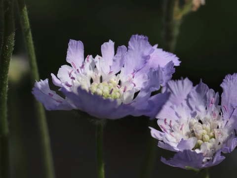 626 on Rood, Grand Junction, eventseeker