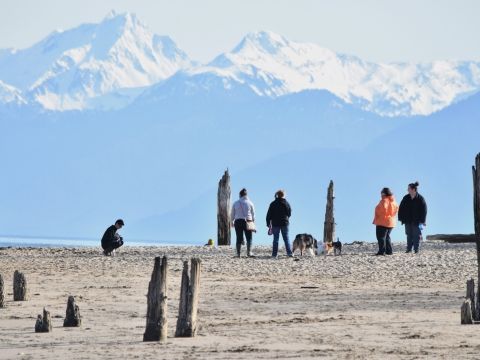 Sandbar & Grill, Juneau, eventseeker