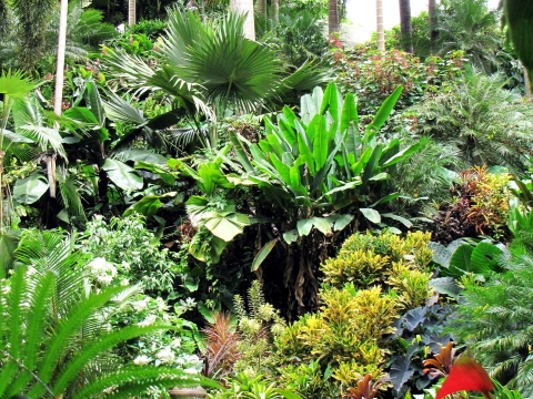 Best Parks in Barbados | cityseeker