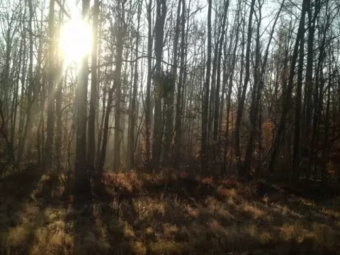 North Stafford High School, Stafford, eventseeker